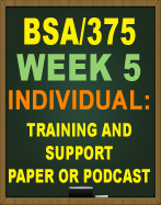 BSA/375 Entire Class, BSA/375 Agile Principles, BSA/375 Information ...